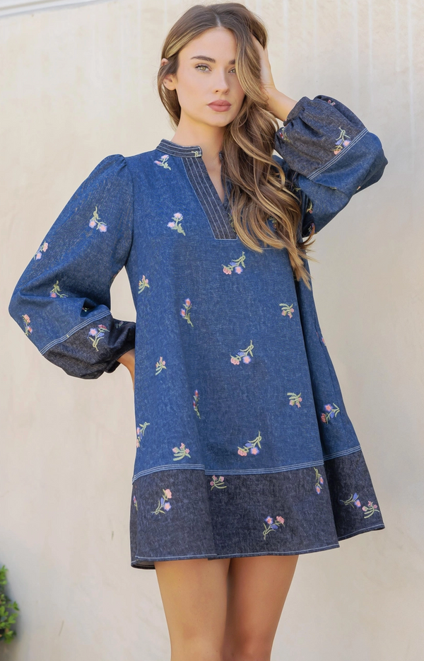 FRANCIS DENIM DRESS IN BLUE | ShopIDB.com - Indigeaux Denim Bar & Boutique